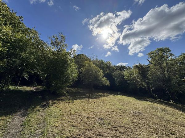 Friends of Croham Hurst Woods