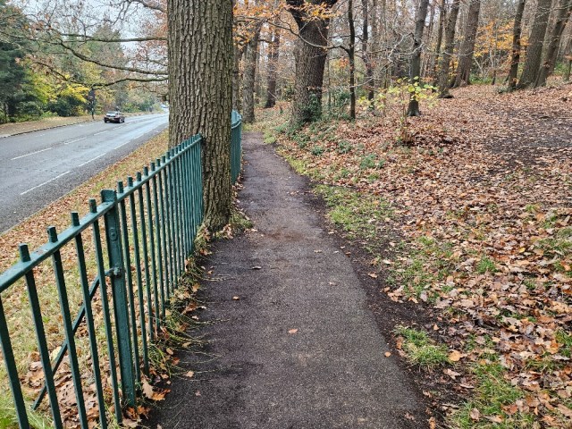 Friends of Croham Hurst Woods